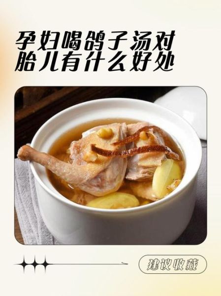 鸽子汤孕妇能喝吗_孕期喝鸽子汤注意事项-第2张图片-山城妙识