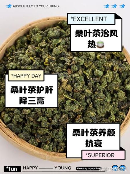 桑叶茶什么人不能喝_桑叶茶禁忌有哪些-第1张图片-山城妙识