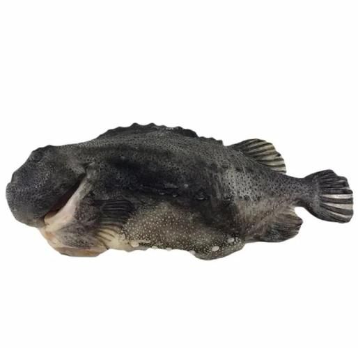 海参斑鱼图片大全大图_海参斑鱼长什么样-第1张图片-山城妙识 海参斑鱼图片大全大图_海参斑鱼长什么样-第1张图片-山城妙识