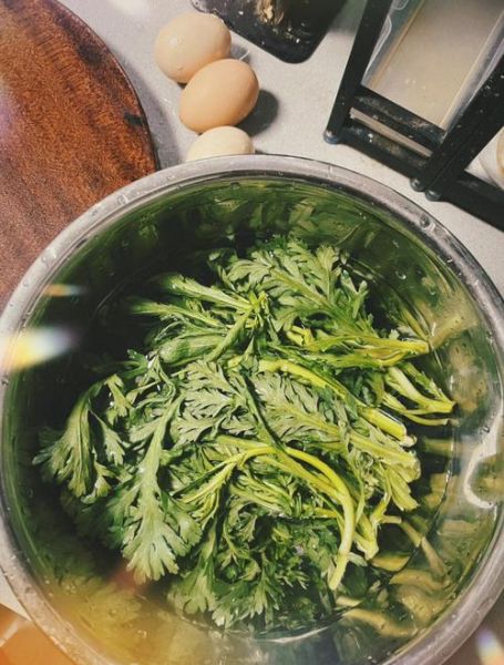 蚝油炒茼蒿怎么炒才脆嫩_蚝油炒茼蒿用焯水吗-第3张图片-山城妙识 蚝油炒茼蒿怎么炒才脆嫩_蚝油炒茼蒿用焯水吗-第3张图片-山城妙识