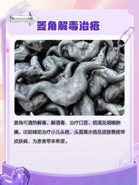 菱角的功效与禁忌_什么人不能吃菱角-第3张图片-山城妙识 菱角的功效与禁忌_什么人不能吃菱角-第3张图片-山城妙识