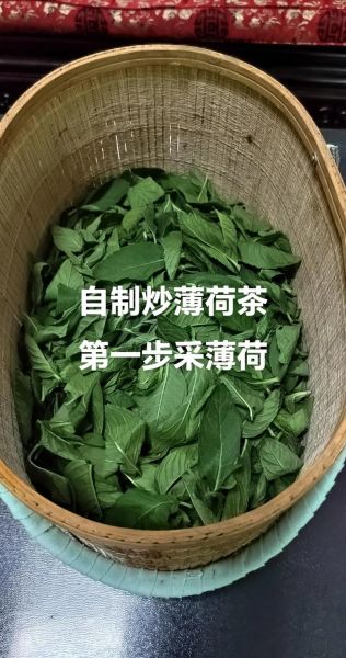 薄荷茶怎么泡_自制薄荷茶的做法-第3张图片-山城妙识 薄荷茶怎么泡_自制薄荷茶的做法-第3张图片-山城妙识
