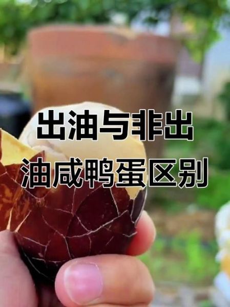腌鸭蛋出油又不咸窍门_咸鸭蛋出油秘诀-第3张图片-山城妙识 腌鸭蛋出油又不咸窍门_咸鸭蛋出油秘诀-第3张图片-山城妙识