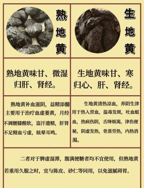 生地的功效与作用_生地和熟地的区别-第1张图片-山城妙识 生地的功效与作用_生地和熟地的区别-第1张图片-山城妙识