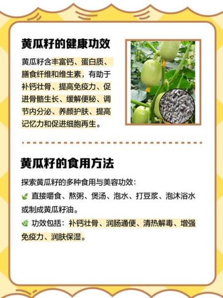 黄瓜子的功效与作用_黄瓜子怎么吃效果最好-第1张图片-山城妙识 黄瓜子的功效与作用_黄瓜子怎么吃效果最好-第1张图片-山城妙识
