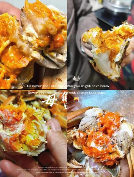 蟹黄是螃蟹的什么部位_蟹黄和蟹膏的区别-第1张图片-山城妙识 蟹黄是螃蟹的什么部位_蟹黄和蟹膏的区别-第1张图片-山城妙识