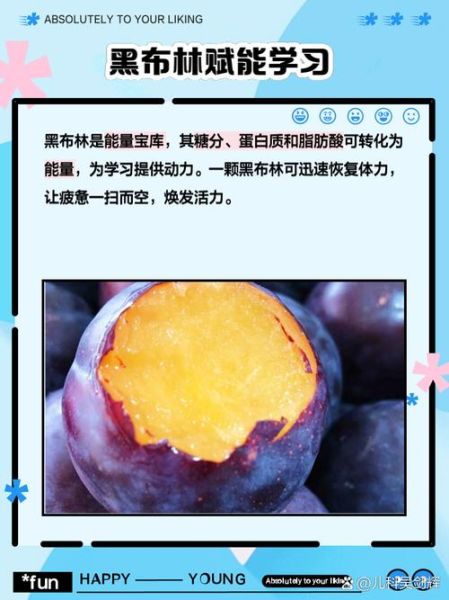 黑李子能减肥吗_黑李子功效与作用禁忌-第1张图片-山城妙识 黑李子能减肥吗_黑李子功效与作用禁忌-第1张图片-山城妙识