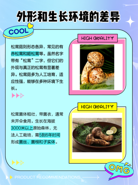 松树蘑菇种类大全_如何区分松蘑与松茸-第2张图片-山城妙识 松树蘑菇种类大全_如何区分松蘑与松茸-第2张图片-山城妙识