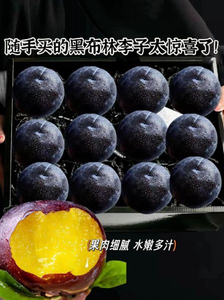 黑李子能减肥吗_黑李子功效与作用禁忌-第3张图片-山城妙识 黑李子能减肥吗_黑李子功效与作用禁忌-第3张图片-山城妙识