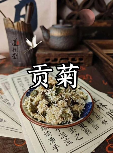 贡菊花茶的功效与作用_贡菊花茶什么人不能喝-第1张图片-山城妙识