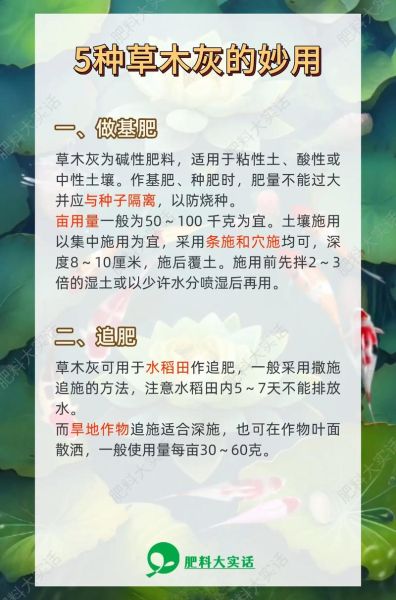 草木灰化学式是什么_草木灰主要成分有哪些-第2张图片-山城妙识 草木灰化学式是什么_草木灰主要成分有哪些-第2张图片-山城妙识