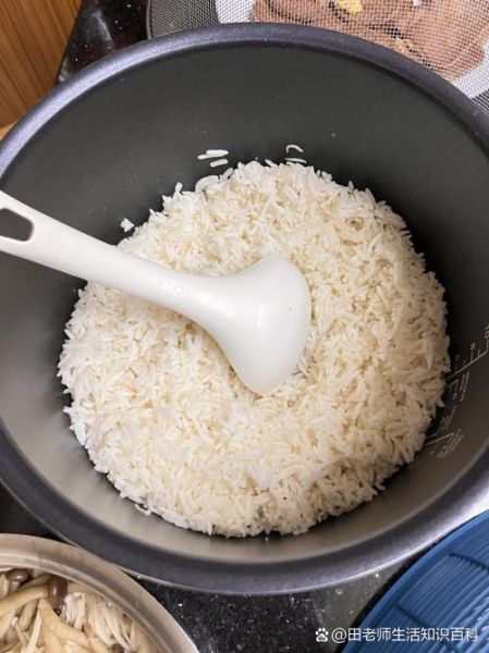 白米饭怎么蒸才粒粒分明_白米饭热量高吗-第2张图片-山城妙识 白米饭怎么蒸才粒粒分明_白米饭热量高吗-第2张图片-山城妙识