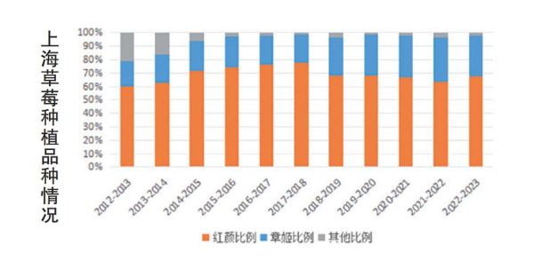 草莓多少钱一斤_2024草莓价格走势-第3张图片-山城妙识 草莓多少钱一斤_2024草莓价格走势-第3张图片-山城妙识