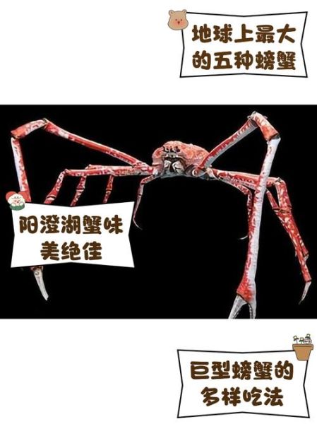 巨型螃蟹电影有哪些_为什么让人害怕-第2张图片-山城妙识
