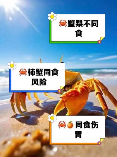 梭子蟹不能和什么一起吃_哪些食物与梭子蟹相克-第3张图片-山城妙识