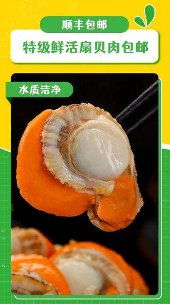 鲜贝是扇贝吗_鲜贝和扇贝的区别-第2张图片-山城妙识