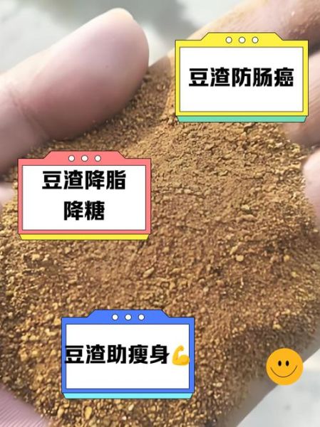 豆渣的营养价值_豆渣怎么吃最有营养-第2张图片-山城妙识 豆渣的营养价值_豆渣怎么吃最有营养-第2张图片-山城妙识
