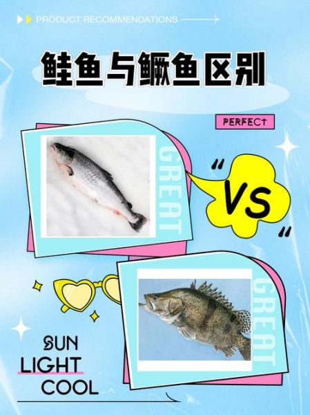 鳜鱼怎么读_鳜鱼多少钱一斤-第3张图片-山城妙识 鳜鱼怎么读_鳜鱼多少钱一斤-第3张图片-山城妙识