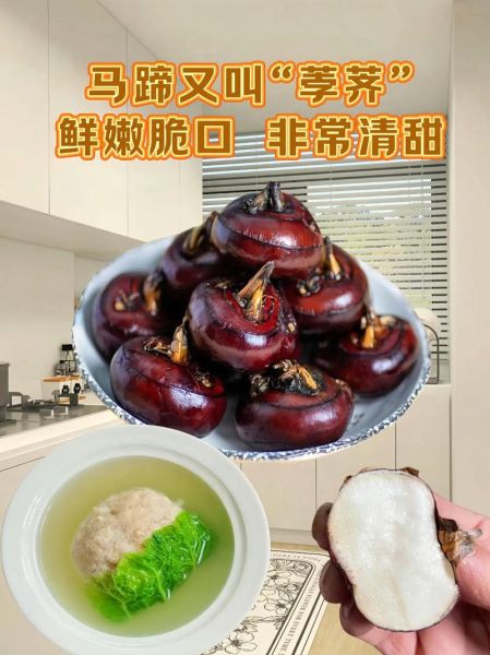 荸荠怎么做好吃_荸荠的家常做法大全-第2张图片-山城妙识 荸荠怎么做好吃_荸荠的家常做法大全-第2张图片-山城妙识