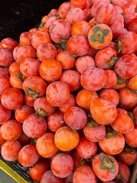 秋天有哪些水果成熟_秋季应季水果推荐-第1张图片-山城妙识