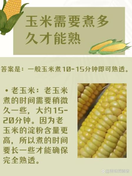 高压锅煮玉米需要多长时间_怎么判断熟没熟-第1张图片-山城妙识
