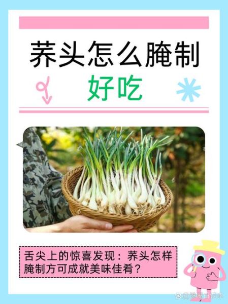 荞头怎么腌制_荞头家常做法大全-第1张图片-山城妙识 荞头怎么腌制_荞头家常做法大全-第1张图片-山城妙识