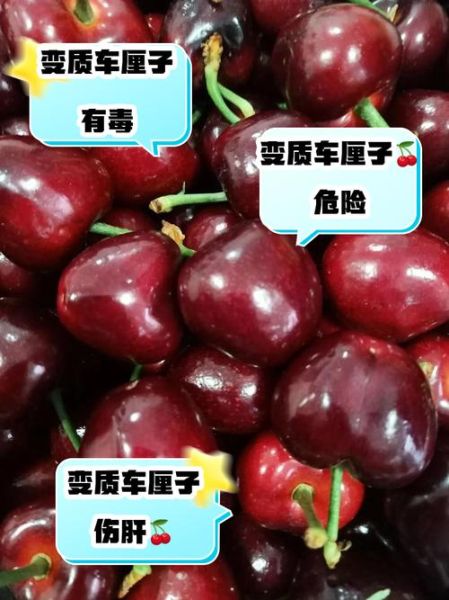 车厘子上火还是降火_吃车厘子会上火吗-第1张图片-山城妙识 车厘子上火还是降火_吃车厘子会上火吗-第1张图片-山城妙识