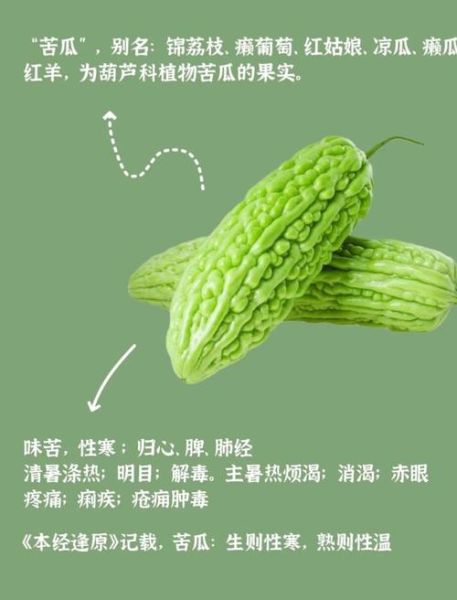 苦瓜的功效与作用_苦瓜的副作用有哪些-第3张图片-山城妙识 苦瓜的功效与作用_苦瓜的副作用有哪些-第3张图片-山城妙识