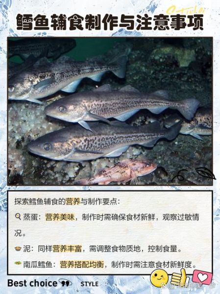 宝宝能吃冷冻鳕鱼吗_冷冻鳕鱼对宝宝有哪些危害-第1张图片-山城妙识 宝宝能吃冷冻鳕鱼吗_冷冻鳕鱼对宝宝有哪些危害-第1张图片-山城妙识
