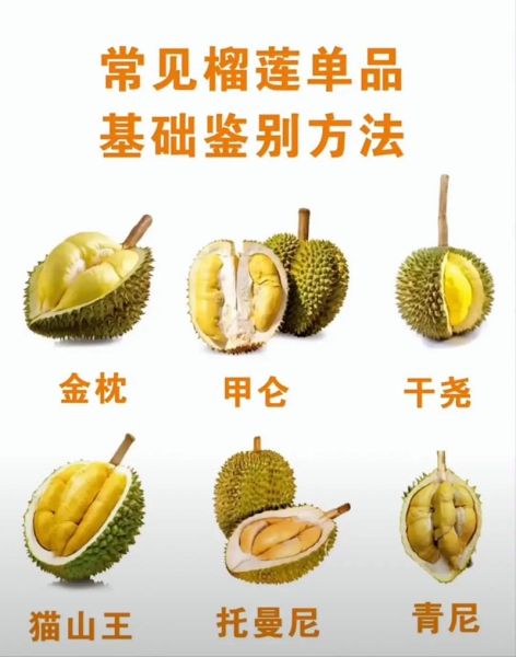 榴莲的视频在线下载_如何安全获取高清资源-第2张图片-山城妙识 榴莲的视频在线下载_如何安全获取高清资源-第2张图片-山城妙识