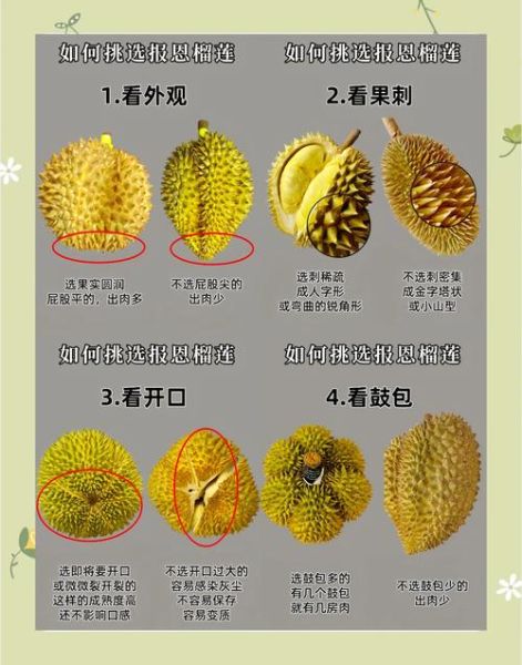 榴莲的视频在线下载_如何安全获取高清资源-第3张图片-山城妙识 榴莲的视频在线下载_如何安全获取高清资源-第3张图片-山城妙识