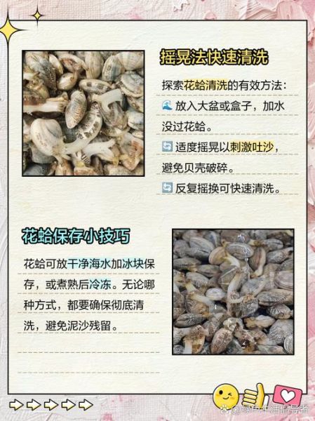 花蛤肉怎么清洗_花蛤肉清洗技巧-第1张图片-山城妙识 花蛤肉怎么清洗_花蛤肉清洗技巧-第1张图片-山城妙识