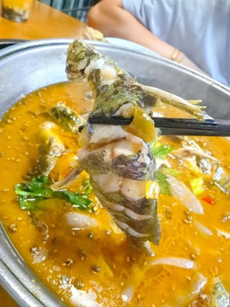 酸菜黄辣丁鱼怎么做_黄辣丁鱼要不要先煎-第1张图片-山城妙识 酸菜黄辣丁鱼怎么做_黄辣丁鱼要不要先煎-第1张图片-山城妙识