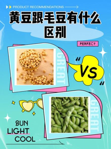 黄豆是毛豆变来的吗_毛豆和黄豆的区别-第1张图片-山城妙识