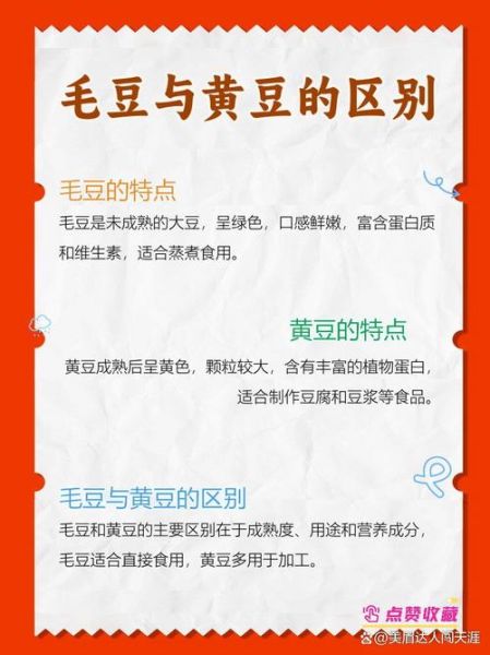 黄豆是毛豆变来的吗_毛豆和黄豆的区别-第3张图片-山城妙识