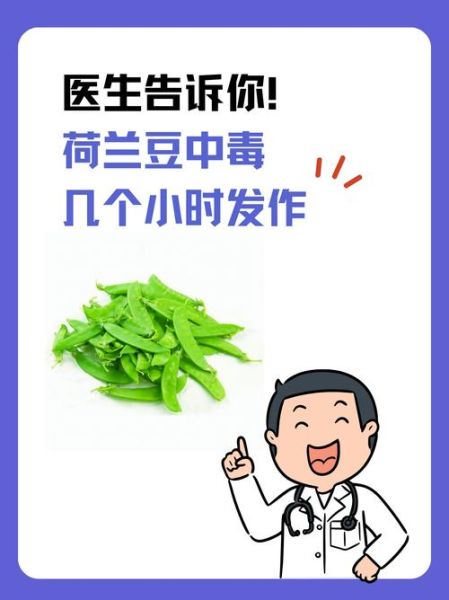 荷兰豆不熟会中毒吗_吃了没熟的荷兰豆怎么办-第1张图片-山城妙识