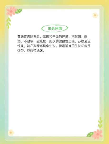 铁树花有什么功效与作用_铁树花怎么吃才安全-第1张图片-山城妙识 铁树花有什么功效与作用_铁树花怎么吃才安全-第1张图片-山城妙识