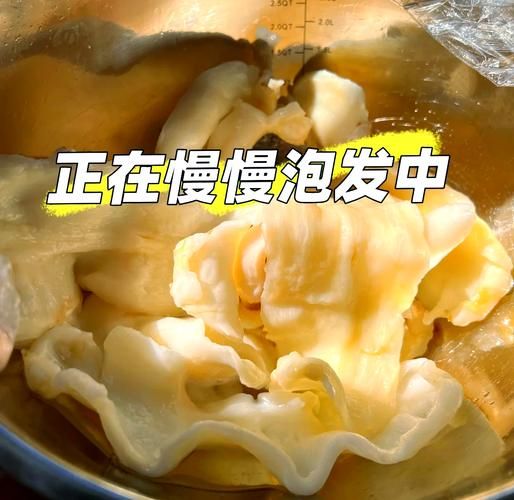 怎么发鱼肚最佳方法_鱼肚怎么泡发最快-第1张图片-山城妙识 怎么发鱼肚最佳方法_鱼肚怎么泡发最快-第1张图片-山城妙识