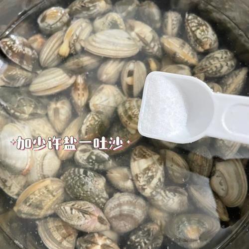 花甲怎么洗才没有泥沙_花甲去沙最快的方法-第3张图片-山城妙识 花甲怎么洗才没有泥沙_花甲去沙最快的方法-第3张图片-山城妙识