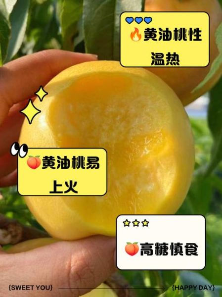 黄油桃热量是多少_减肥能吃黄油桃吗-第1张图片-山城妙识 黄油桃热量是多少_减肥能吃黄油桃吗-第1张图片-山城妙识