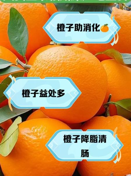 女人吃橙子的好处有哪些_每天吃橙子会胖吗-第1张图片-山城妙识 女人吃橙子的好处有哪些_每天吃橙子会胖吗-第1张图片-山城妙识