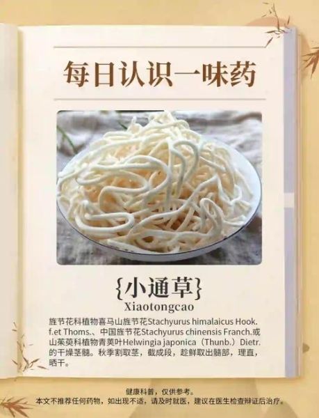 白通草的功效与作用_白通草怎么吃效果最好-第2张图片-山城妙识