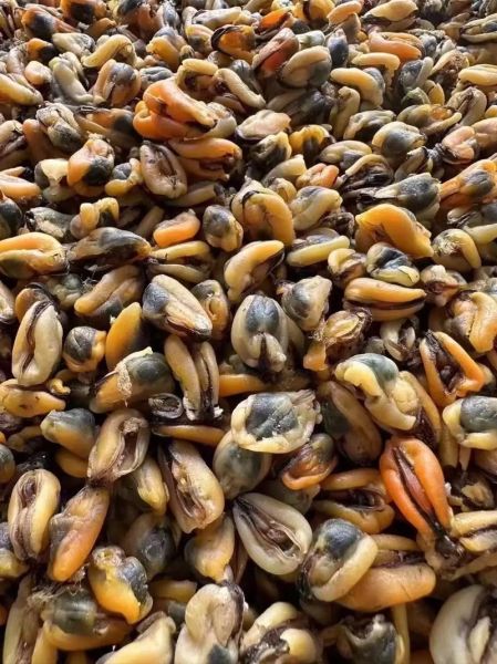 淡菜干怎么清洗_淡菜干清洗的正确方法-第1张图片-山城妙识