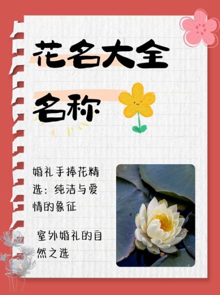 1000种花名大全_如何快速识别花卉-第3张图片-山城妙识