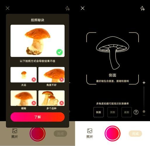 菌类识别扫一扫软件哪个好_如何用手机拍照识别毒蘑菇-第1张图片-山城妙识 菌类识别扫一扫软件哪个好_如何用手机拍照识别毒蘑菇-第1张图片-山城妙识