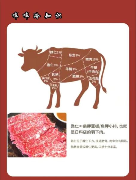 牛欢喜是牛的哪个部位_牛欢喜部位图解-第1张图片-山城妙识 牛欢喜是牛的哪个部位_牛欢喜部位图解-第1张图片-山城妙识