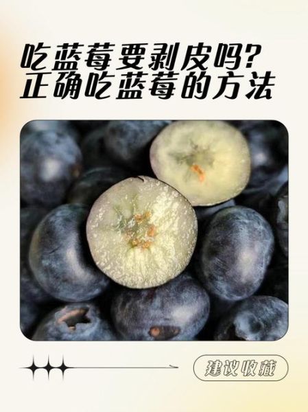 蓝莓的吃法_蓝莓皮可以吃吗-第1张图片-山城妙识 蓝莓的吃法_蓝莓皮可以吃吗-第1张图片-山城妙识