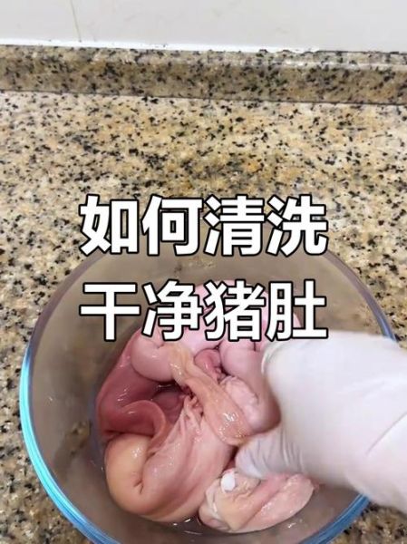猪肚怎么洗最干净_猪肚清洗去腥技巧-第1张图片-山城妙识