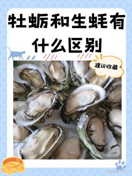 牡蛎和生蚝的区别_功效差异大吗-第2张图片-山城妙识