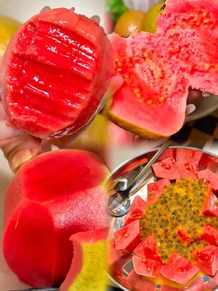 红心番石榴的功效与作用_红心番石榴怎么吃最好-第3张图片-山城妙识